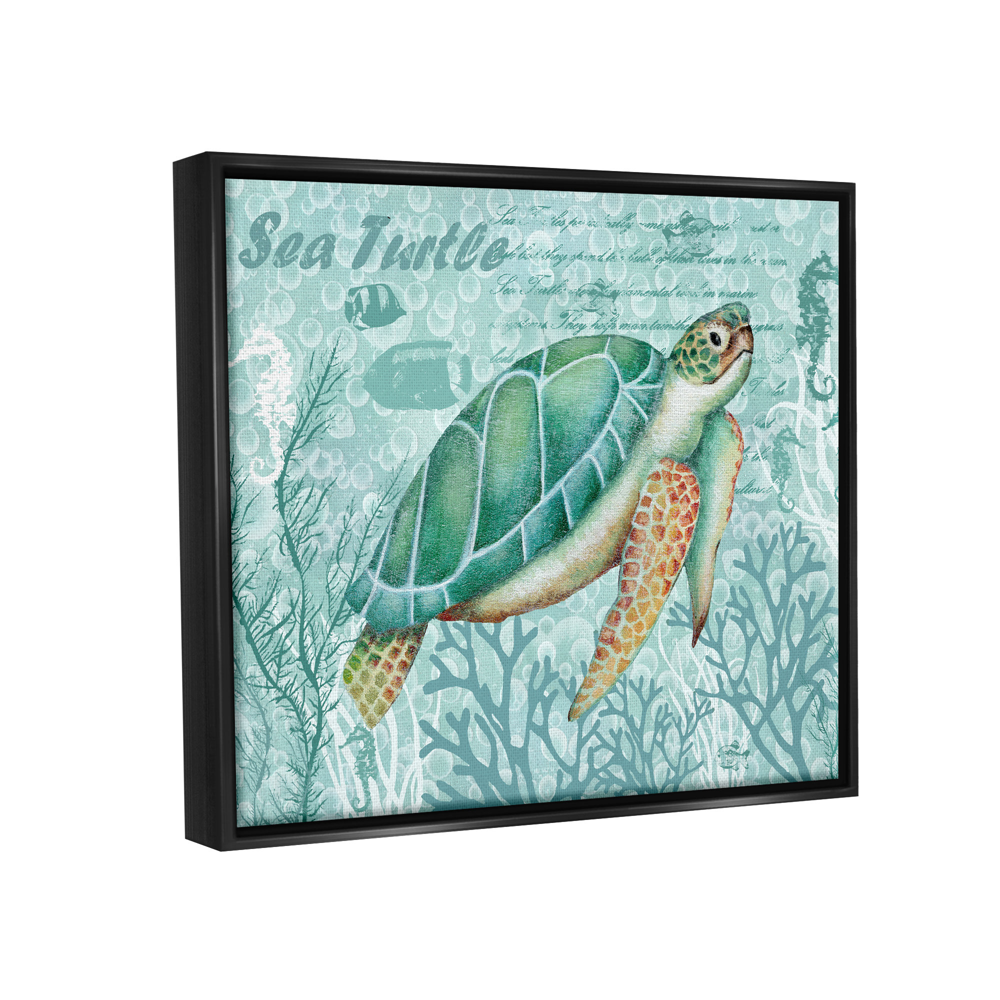 Stupell Industries Coral Bordered Sea Turtle Seahorse Script ...