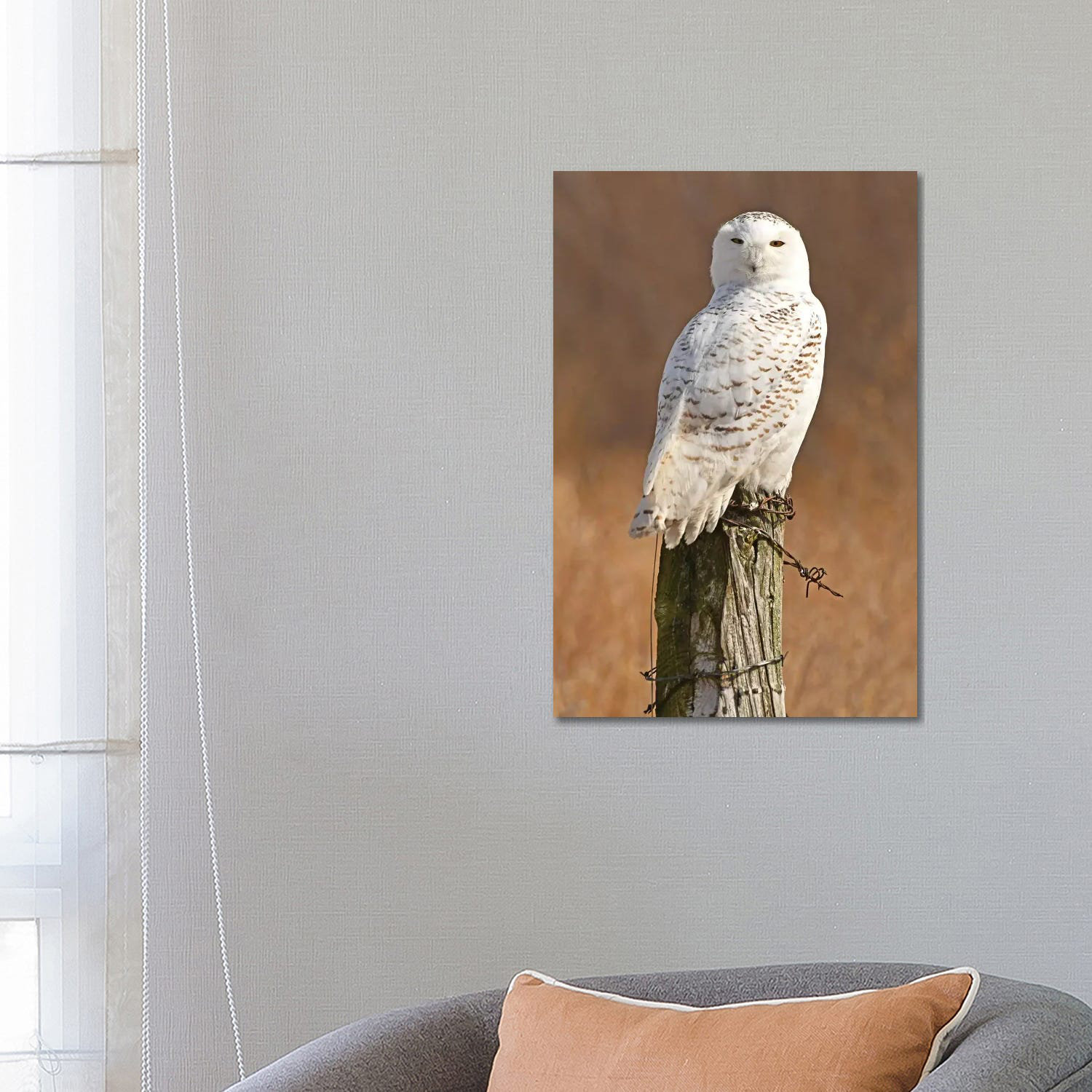 Union Rustic Snowy Owl by Brian Wolf - Wrapped Canvas Art Prints ...