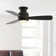 Brayden Studio® Lasky 44'' Ceiling Fan with LED Lights & Reviews | Wayfair