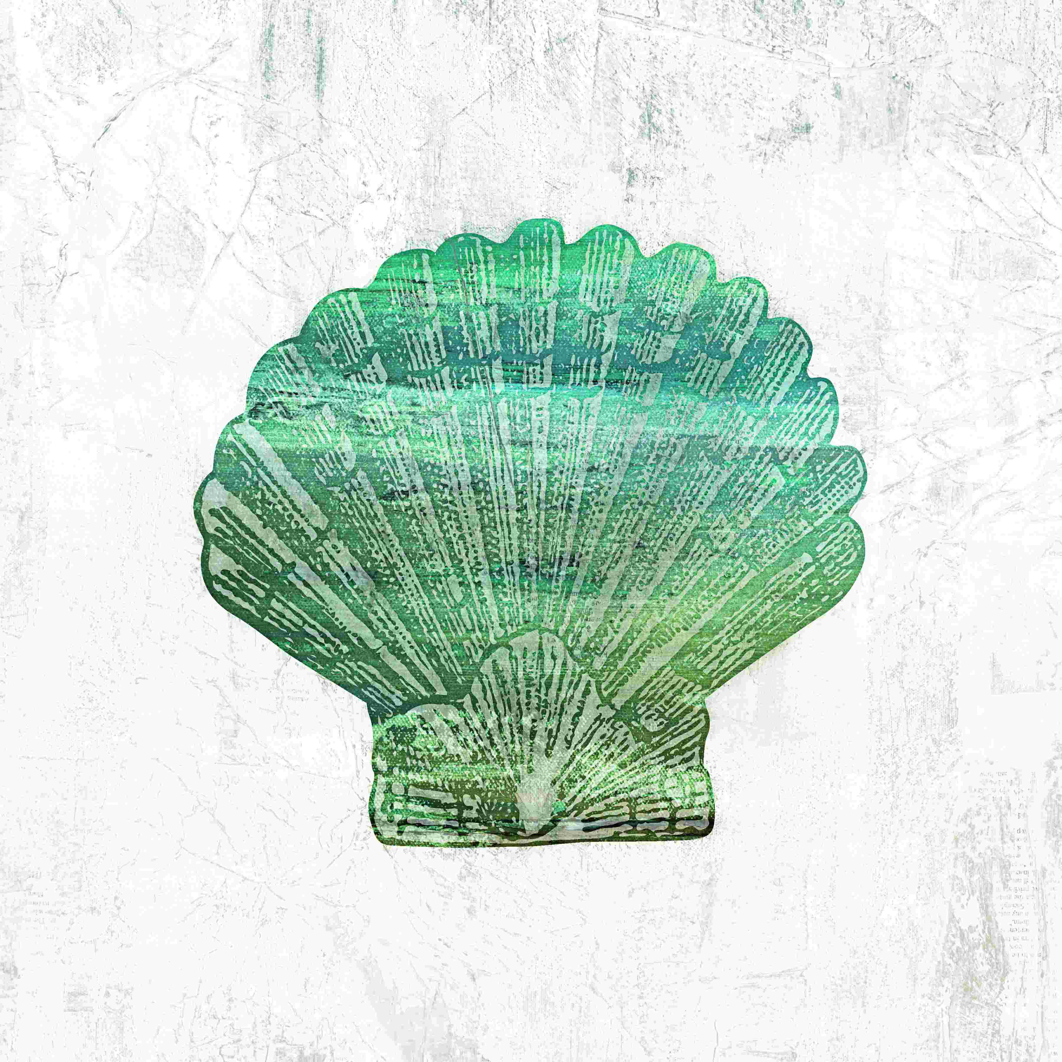 Highland Dunes White Teal Seashell 2 | Wayfair