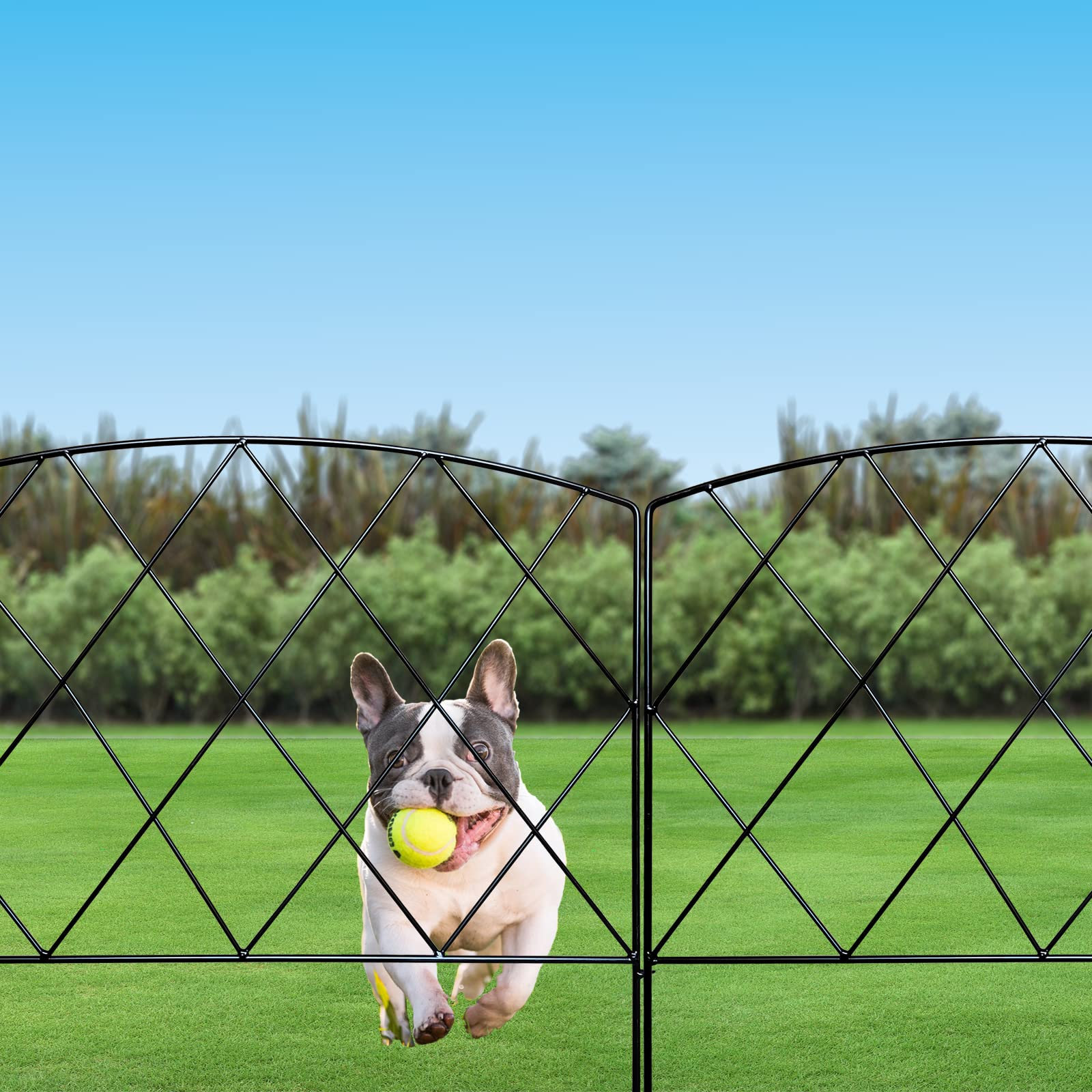 Thealyn 24 in. Hx 24. W Decorative Garden Fence & Reviews | Wayfair