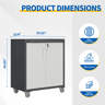 WFX Utility™ 29.5" Heavy-Duty Rolling Metal Garage Cabinet - Lockable ...