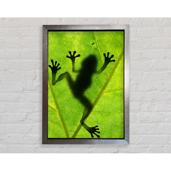 17 Stories Frog Shadow - Single Picture Frame Art Prints | Wayfair.co.uk