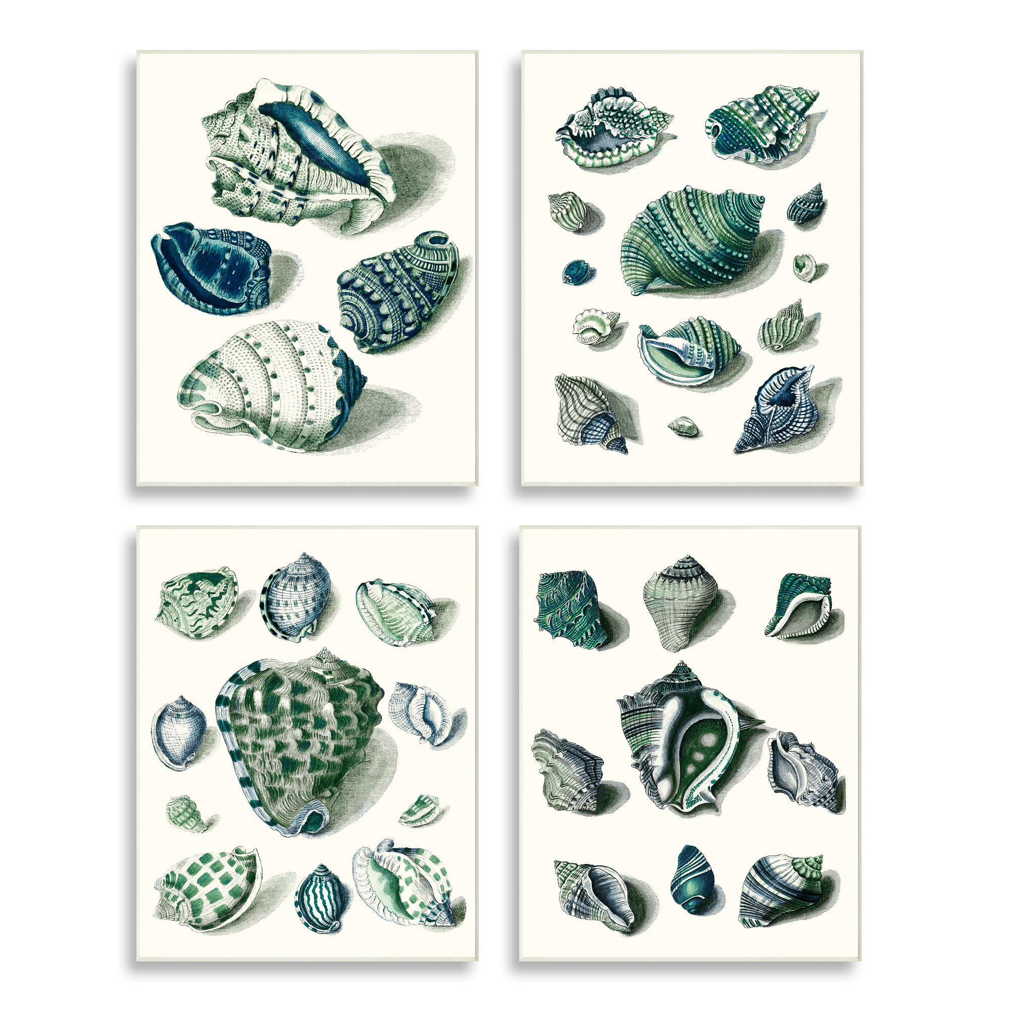 Rosecliff Heights Nautical Spiral Conch Shell Collage Blue Green by ...