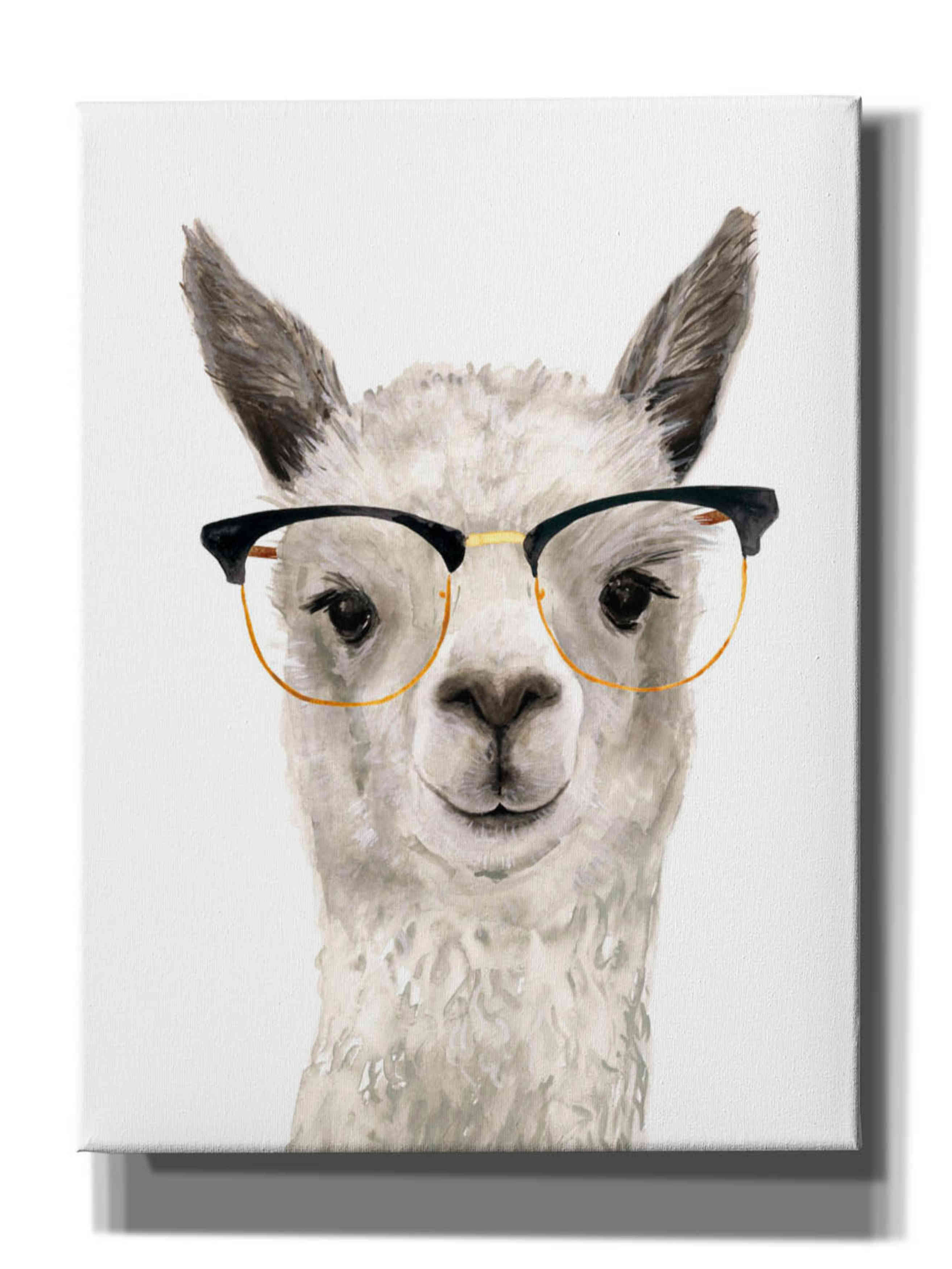 Trinx Red Barrel Studio® 'Hip Llama IV' By Victoria Borges_9776 | Wayfair