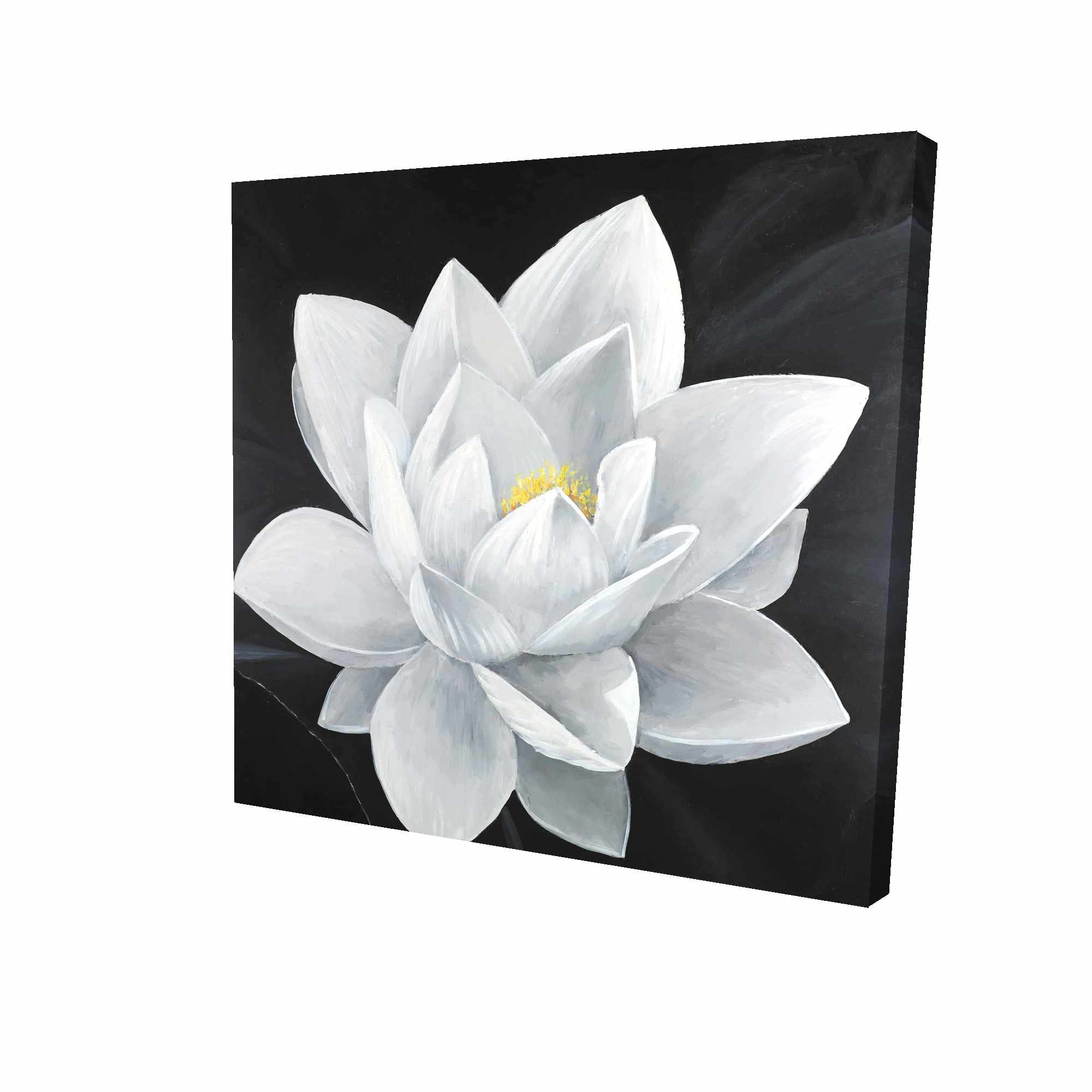 Dakota Fields 'Overhead View of a Lotus Flower' Oil Painting Print on ...