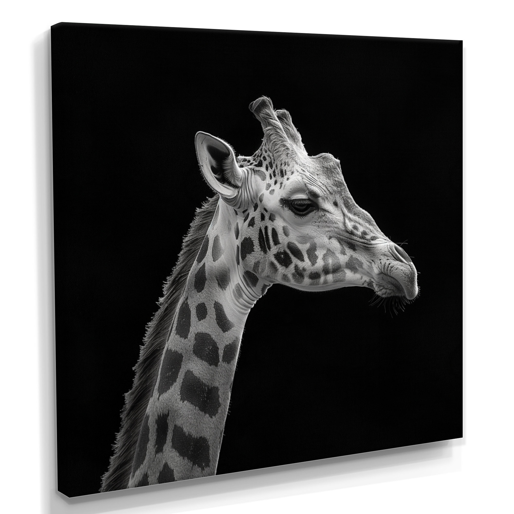 Ebern Designs Giraffe Profile On Black - Giraffe Animal Wall Art Print ...