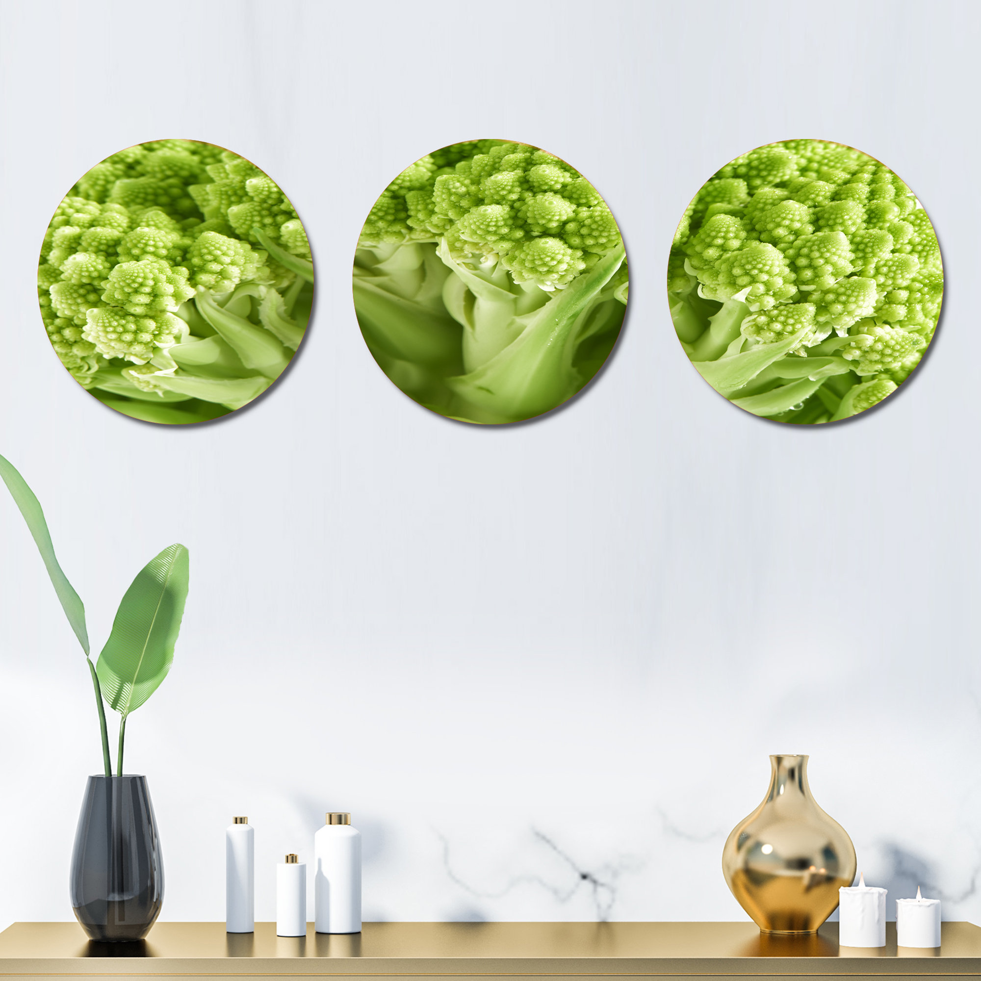 Red Barrel Studio® 3 Piece Fresh Romanesco Florets Wall Décor Set ...
