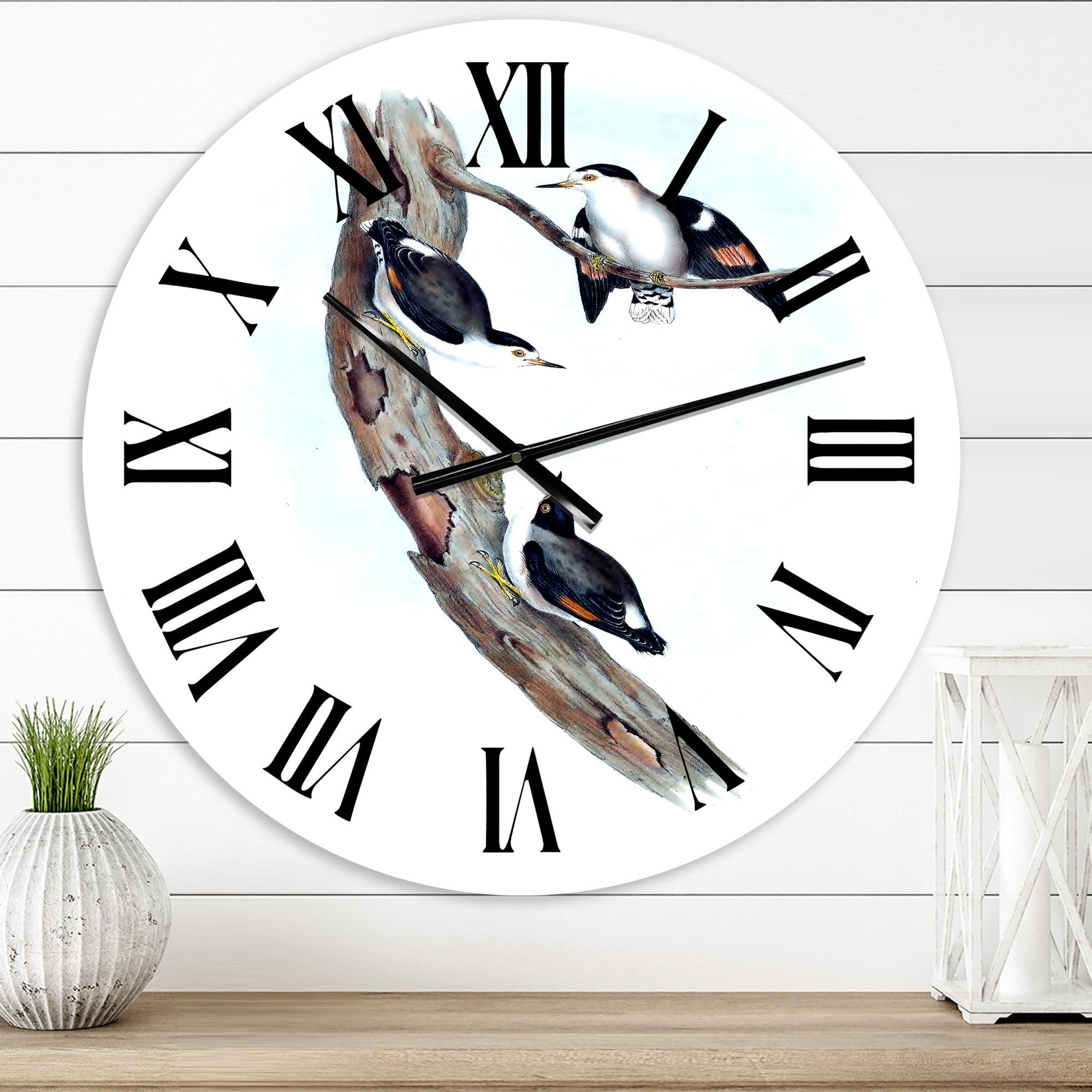East Urban Home Vintage Australian Bird Illustrations I - Traditional ...