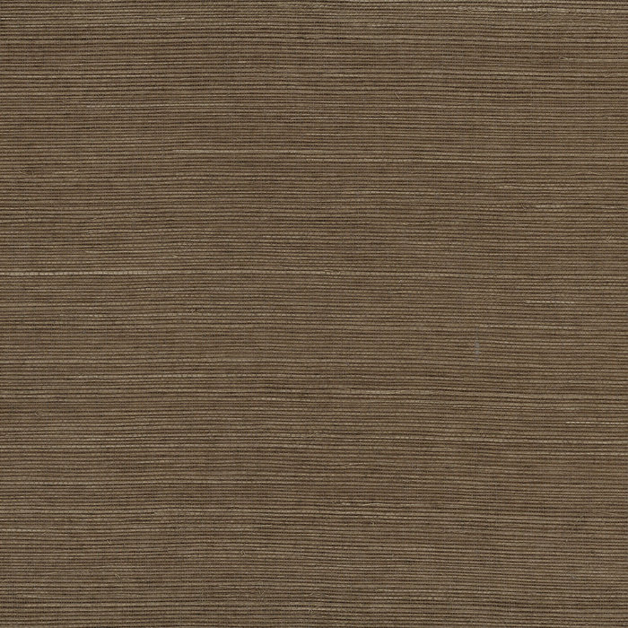 Laurel Foundry Modern Farmhouse Greater Taree Grass Cloth Roll ...