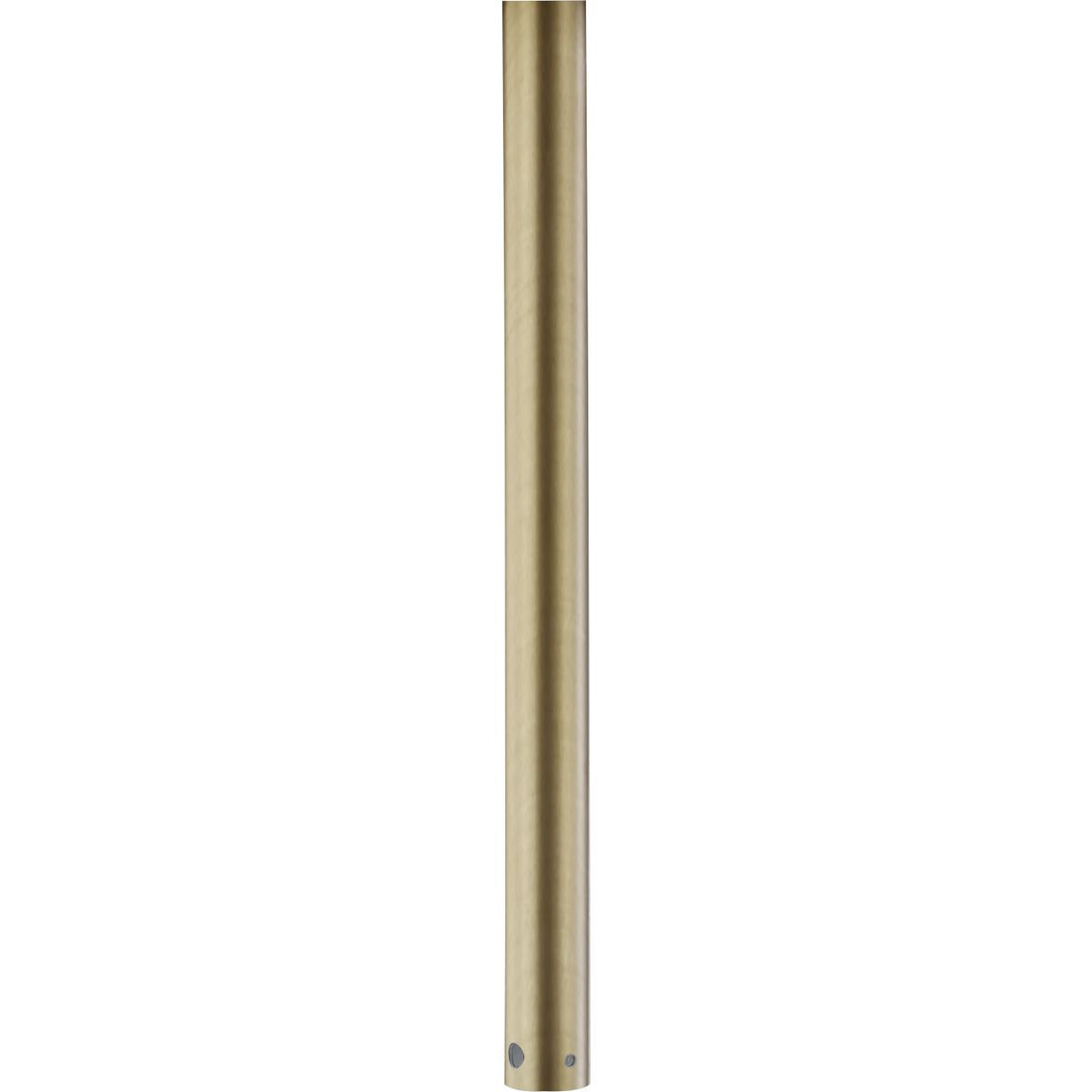 Progress Lighting Painted Nickel Ceiling Fan Downrod & Reviews | Wayfair