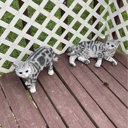 Hi-Line Gift Ltd. Standing American Shorthair Cat Statue & Reviews ...