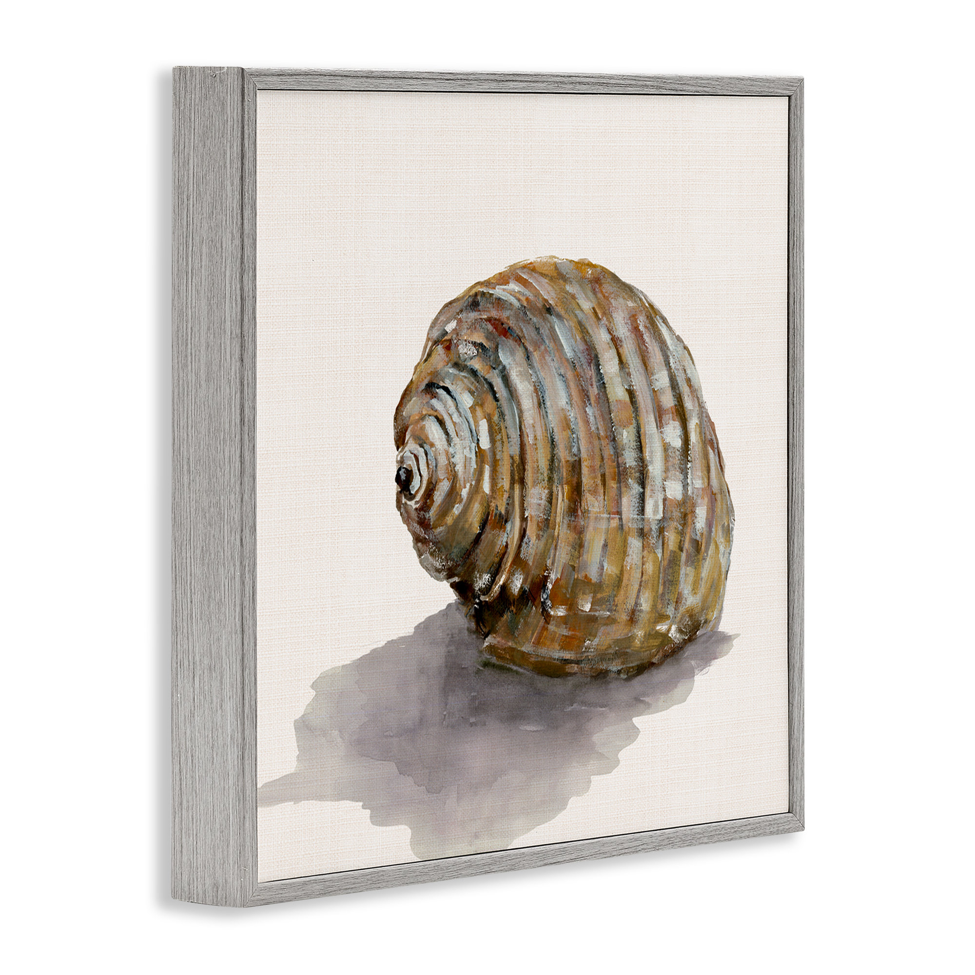 Highland Dunes Curved Seashell on Framed Giclee Art by Jacob Q | Wayfair