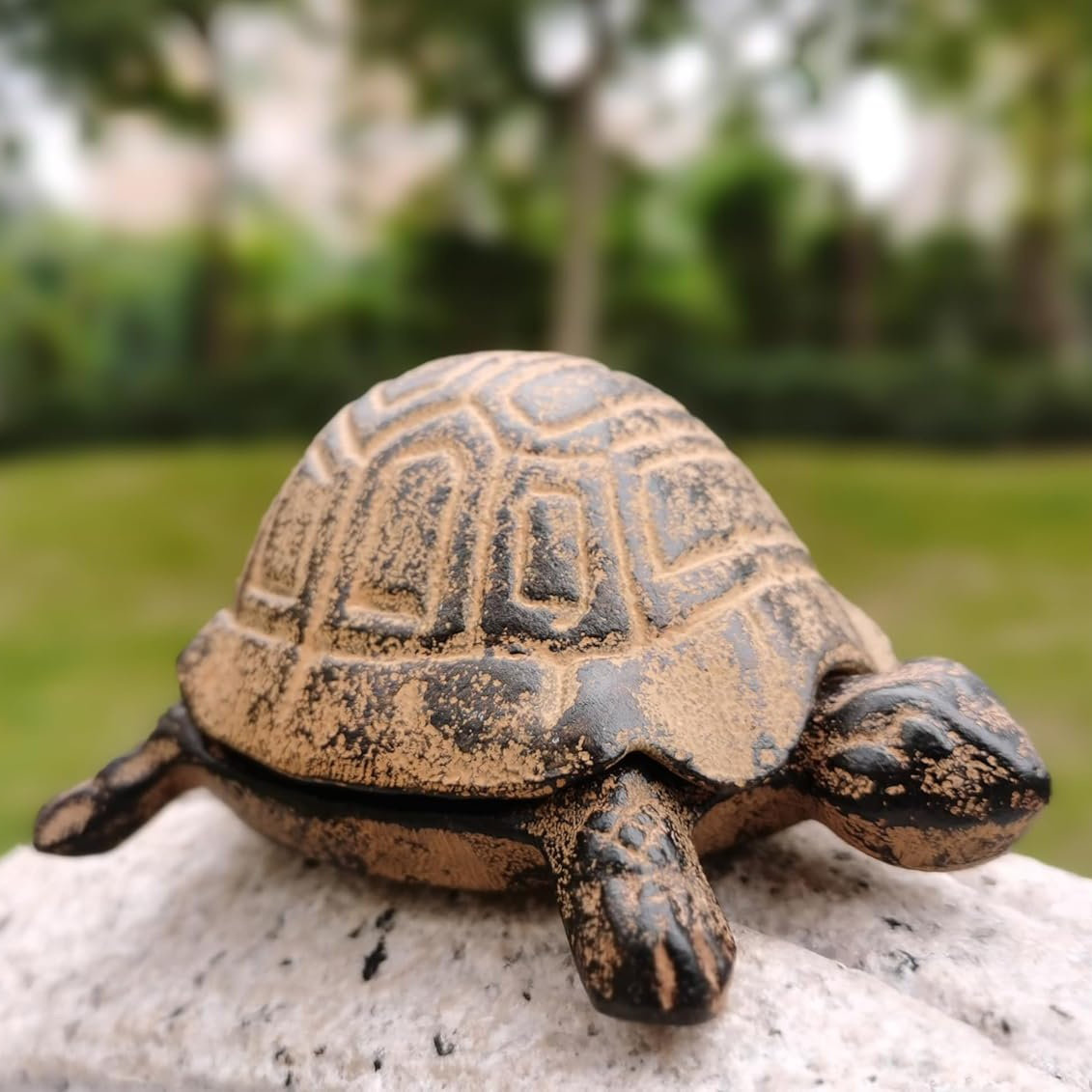 Ophelia & Co. Garden Turtle Statues Key Box | Wayfair