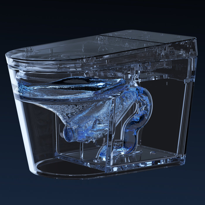 Jade Bath 1.6 Gallons GPF Elongated Floor Mounted Bidet Toilet (Seat ...