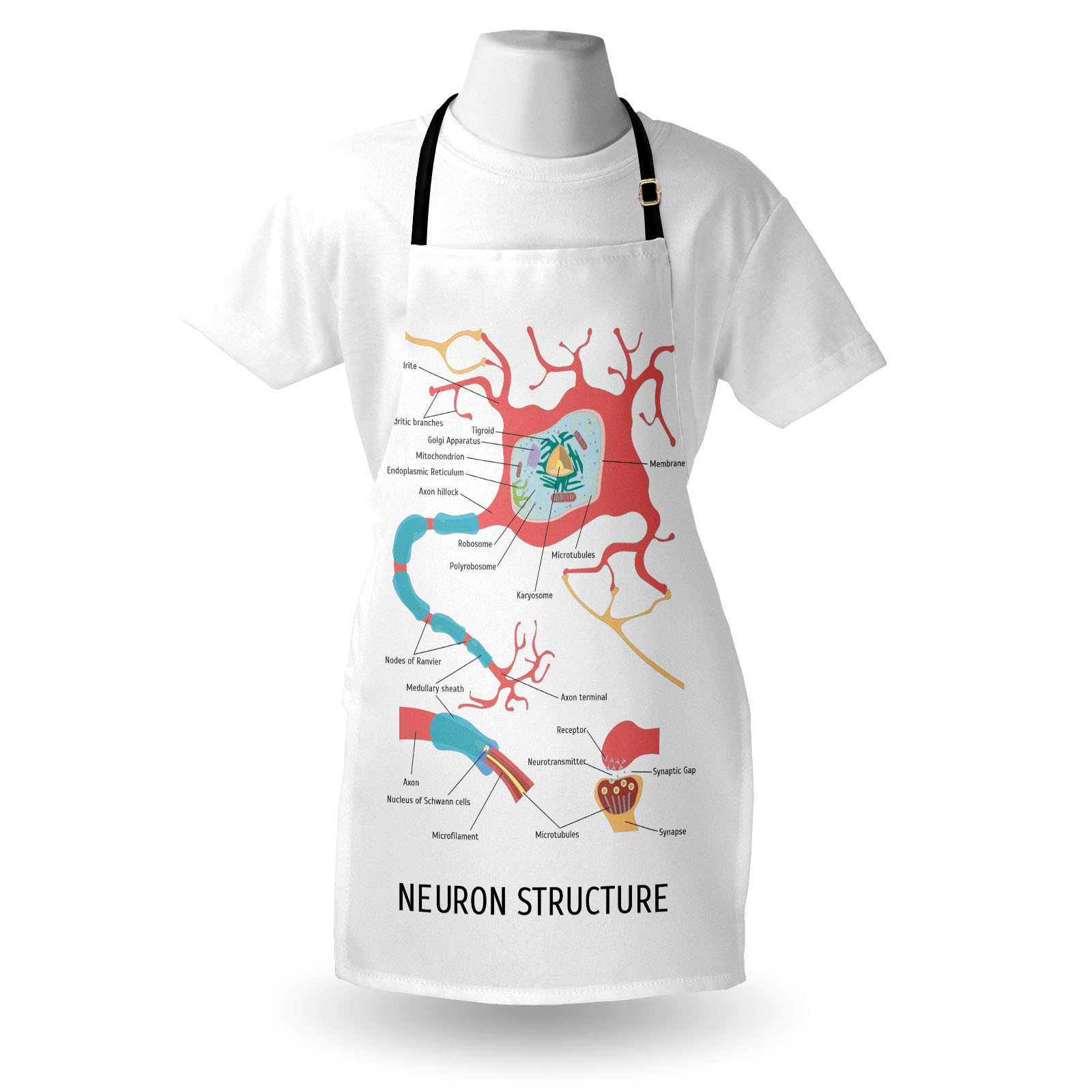 East Urban Home Anatomy Apron Unisex Neuron Structure Science Adult ...