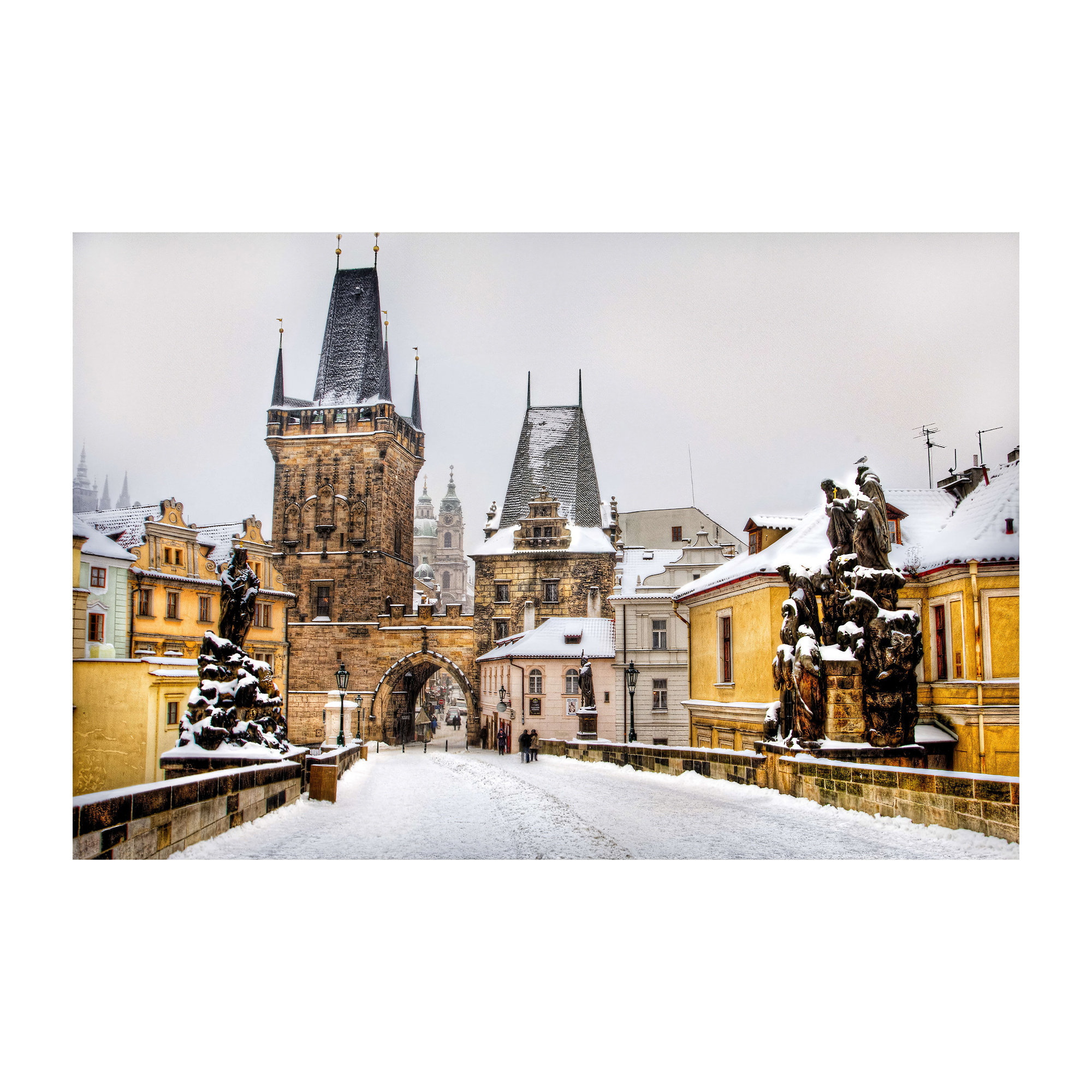 Latitude Run® Exotic Floral Inspired With Pile Soft Printed Rug ...