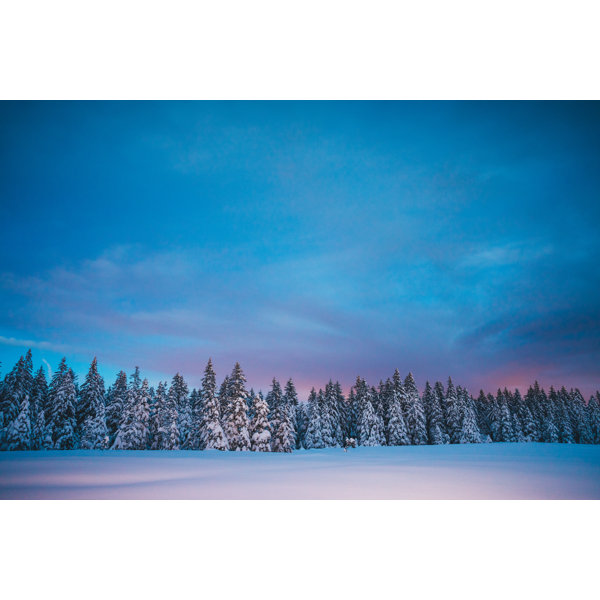 Alpen Home Winter Fairy Tale by Borchee - Wrapped Canvas Art Prints ...