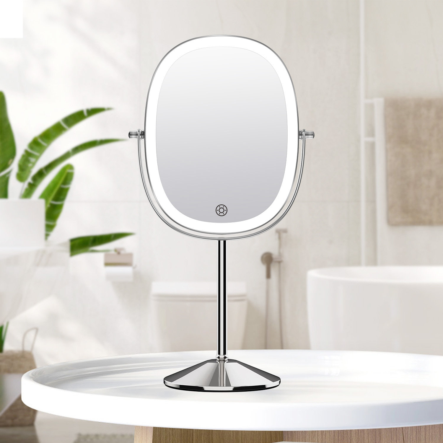 Orren Ellis Buday Oval LED Lighted Magnifying Vanity Freestanding Metal ...