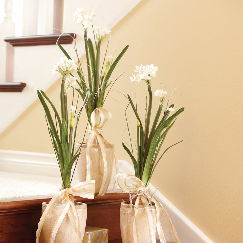 Charlton Home® Paperwhite Arrangement & Reviews | Wayfair
