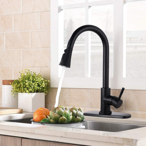 Kitchen Faucets - Wayfair Canada