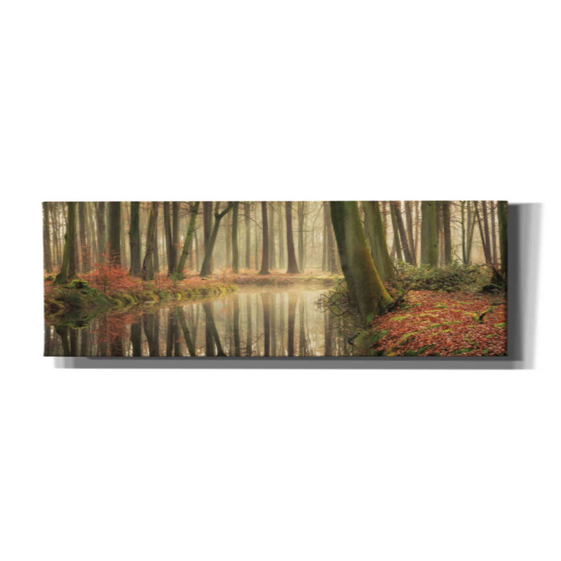 Millwood Pines 'The Healing Power of Forests' by Martin Podt, Canvas ...
