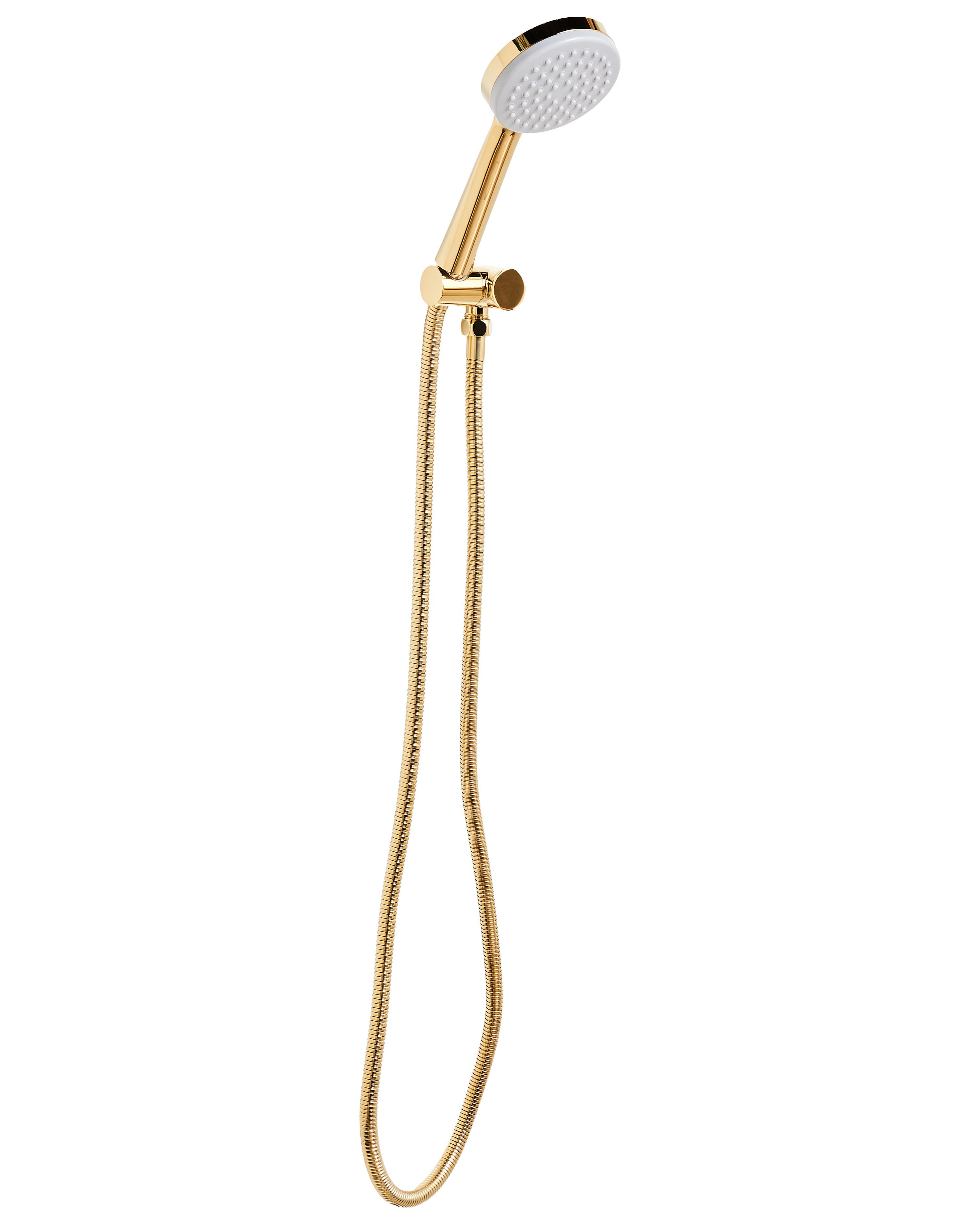 Belfry Bathroom Shower Head and Hose Kit AYPATE | Wayfair.ie
