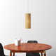 Valluga Single Light Pendant | AllModern