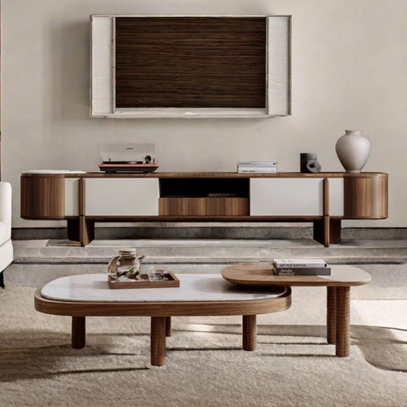 The Invincibles home Design sense coffee table TV cabinet combination ...