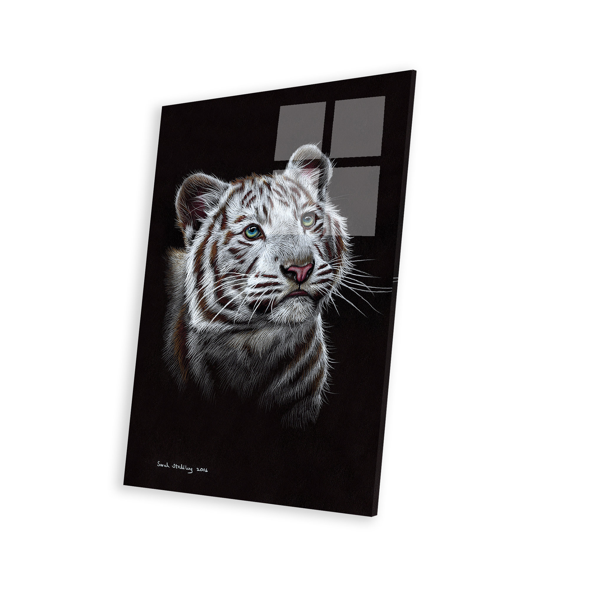 Latitude Run® White Tiger III Print On Acrylic Glass | Wayfair