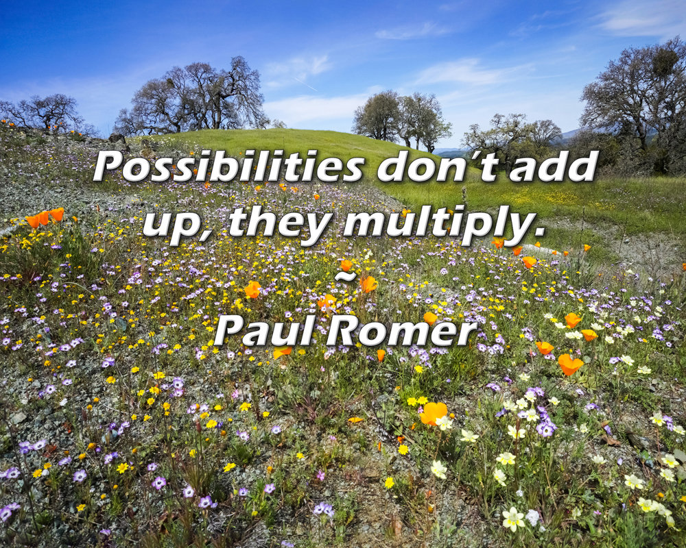 Latitude Run® Paul Romer Quote: Possibilities don’t add up, they ...