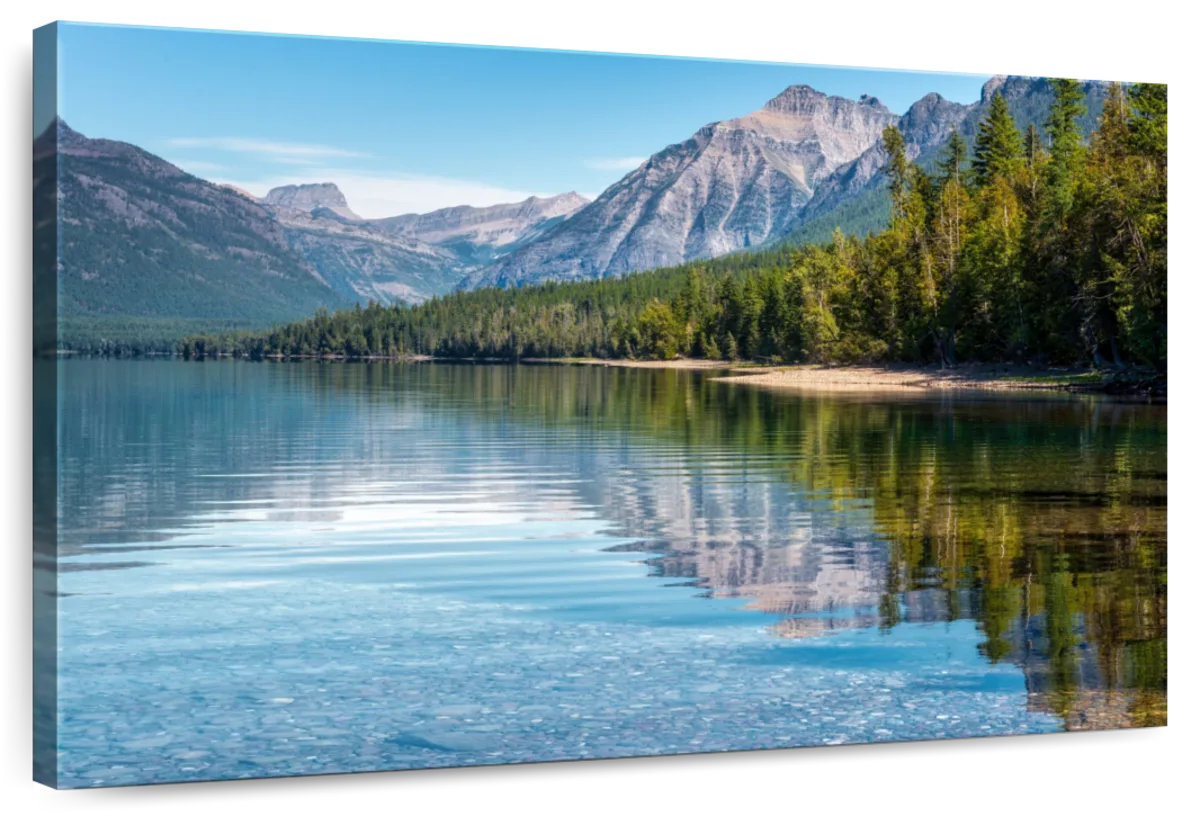 Bungalow Rose Kerrick Trees By Lake McDonald | Wayfair