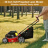 Benzara 20'' Gas Self Propelled Lawn Mower, 144Cc Engine 4-Stroke Push ...