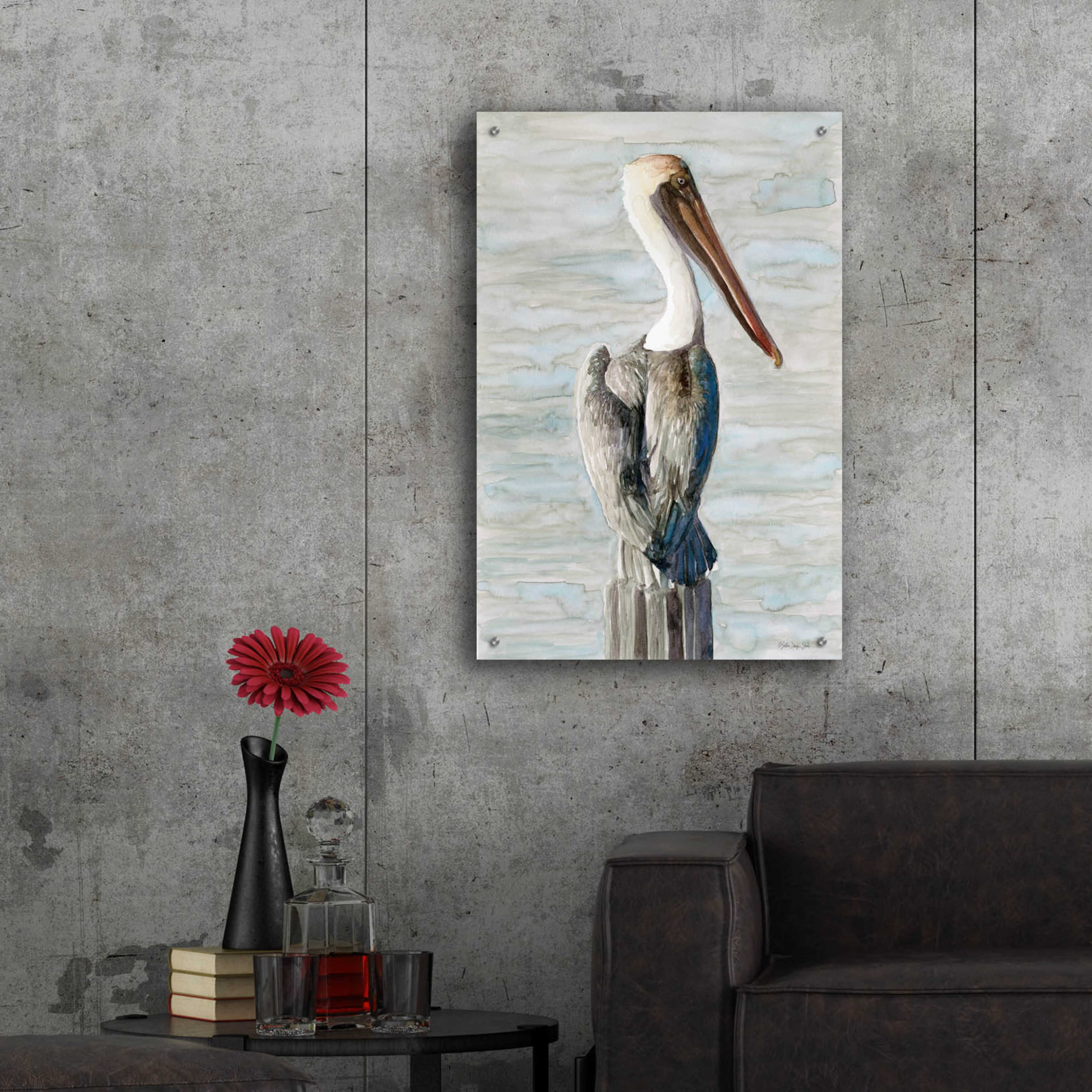 Dovecove ''Brown Pelican 1'' By Stellar Design Studio, Acrylic Glass ...