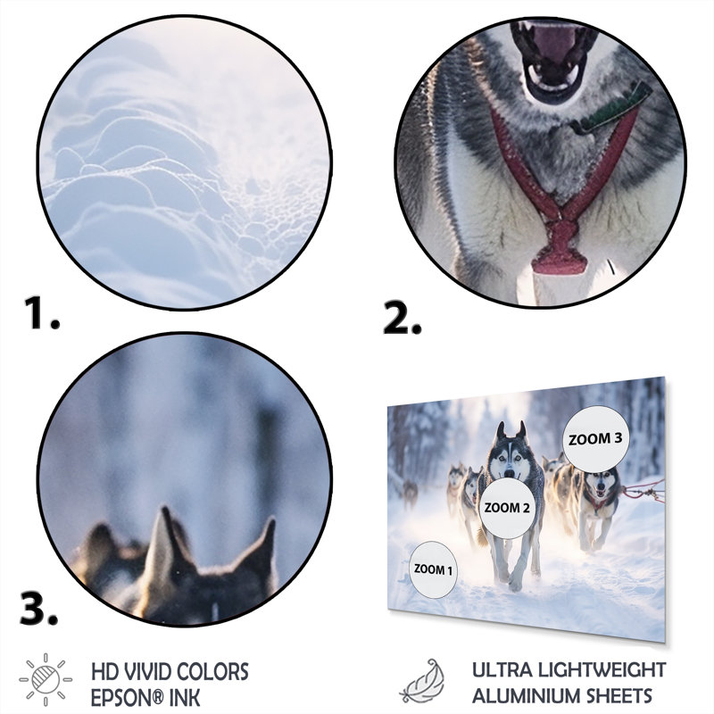 Design Art Alaska Dog Sledding II - Animals Metal Wall Decor Set | Wayfair