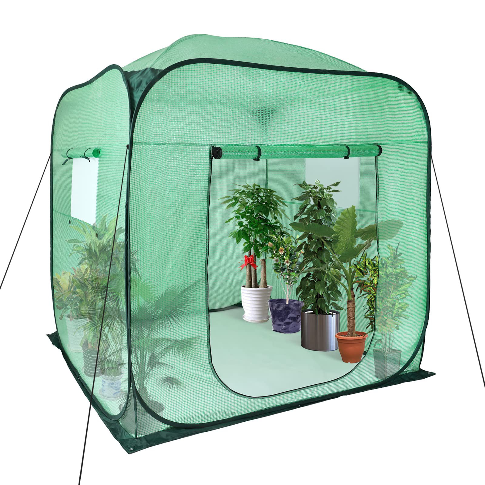 BOJUNTAN Upgraded Pop-Up Plant Greenhouse With Roll-Up Zipper Entry ...