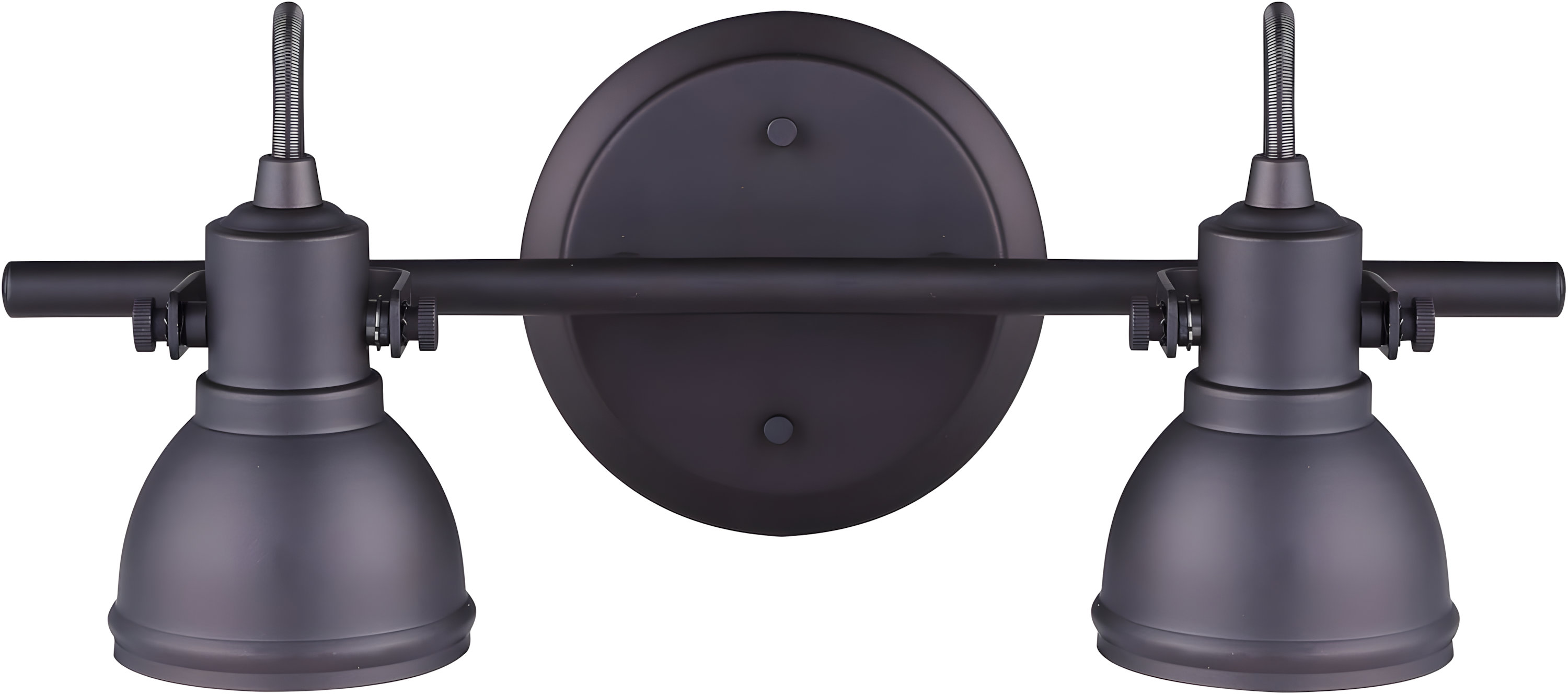 Williston Forge 2 Light Track Rail With Adjustable Heads, Ceiling Or ...