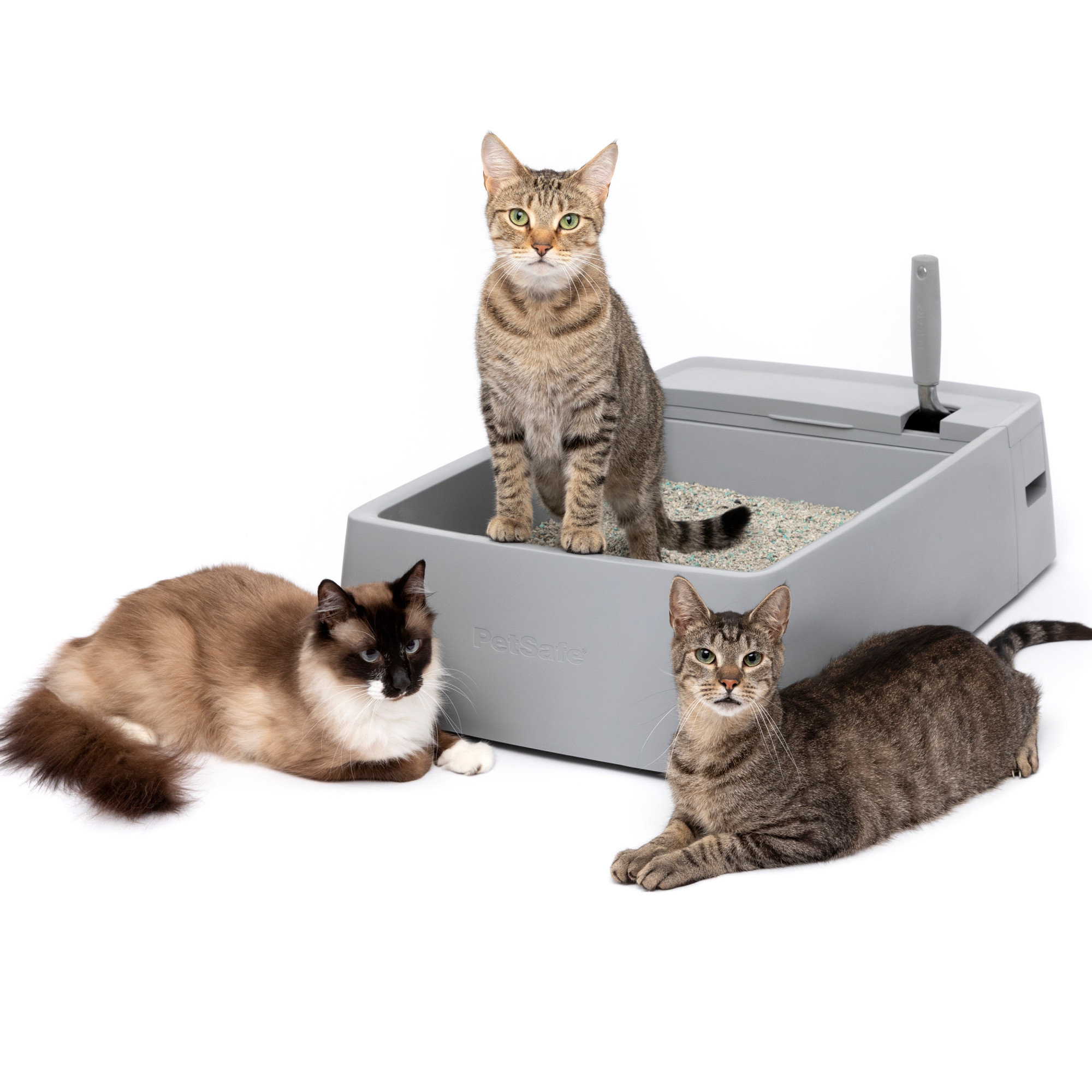 Latitude Run® Multi-Cat Litter Box & Reviews | Wayfair
