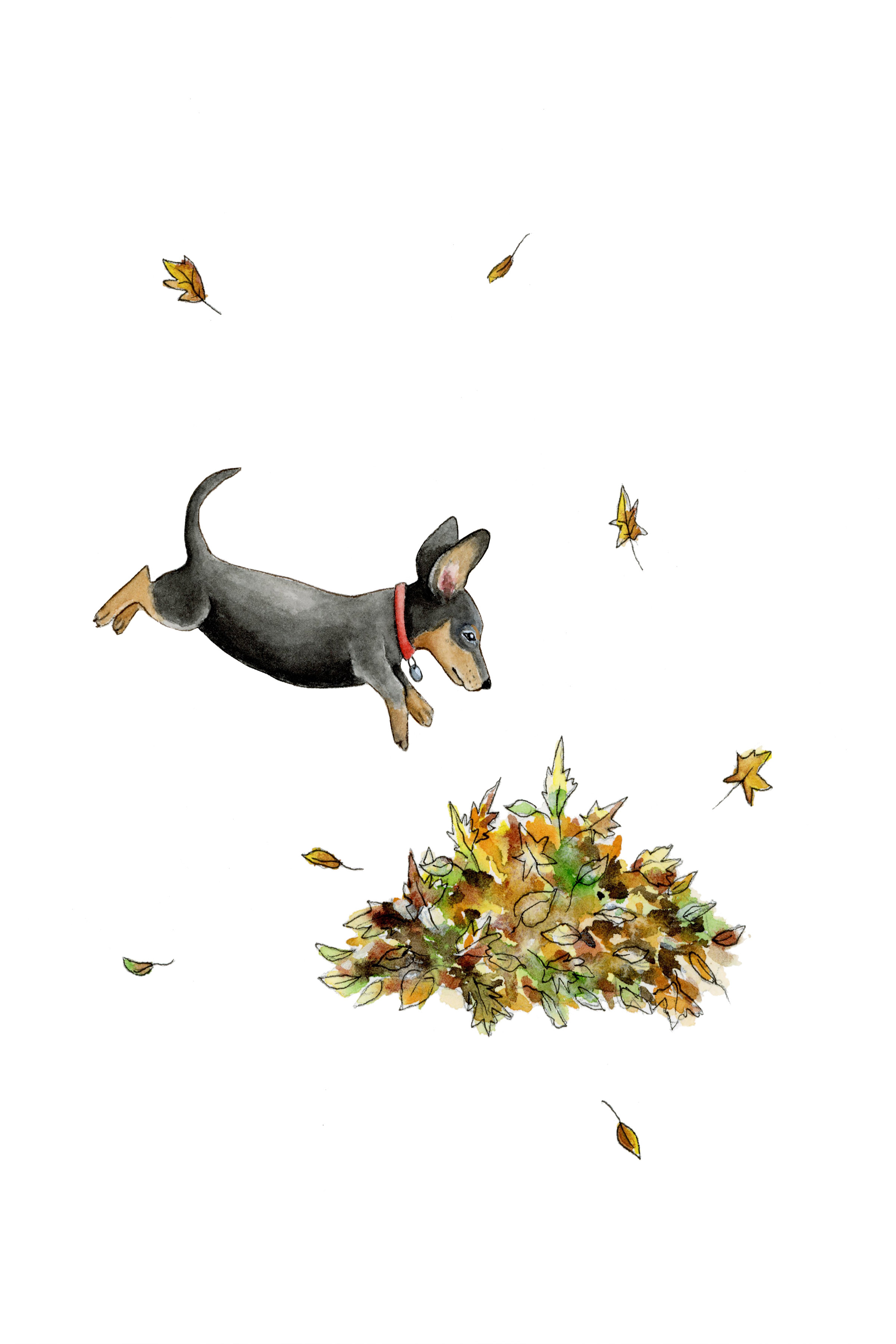 Ebern Designs " Dachshund Jump " by Leah Tedesco on | Wayfair