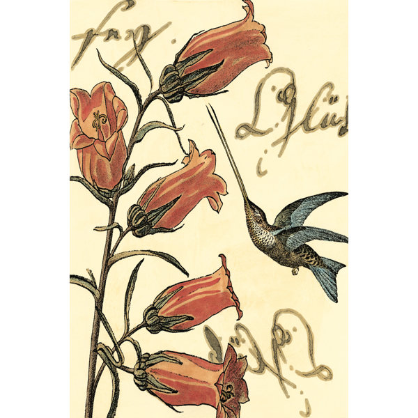 Rosalind Wheeler Small Hummingbird Reverie II by Vision Studio ...