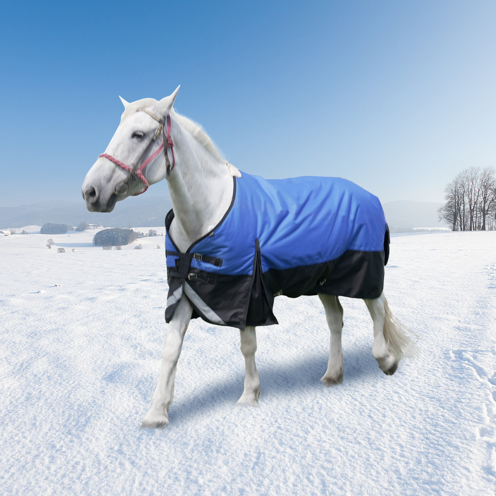 ShangQuan WuLiu Horse Blanket For Real Horses, Waterproof Stable Horse ...