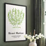 Lark Manor™ Matisse CXV Framed Print - Solid Wood | Wayfair