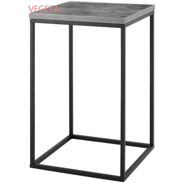Vegeta Frame End Table - Wayfair Canada