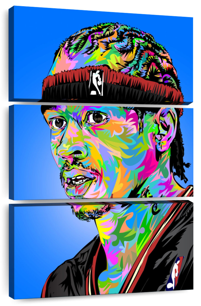 Elephant Stock Allen Iverson 2022 | Wayfair