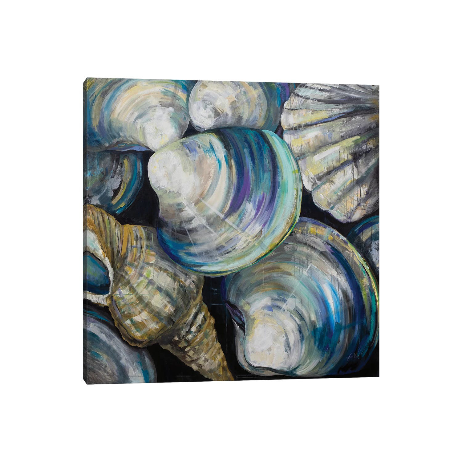 Haus am Meer Key West Shells | Wayfair.co.uk