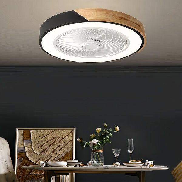 Orren Ellis 19.7" Modern Flush Mount Ceiling Fans With LED Light ...