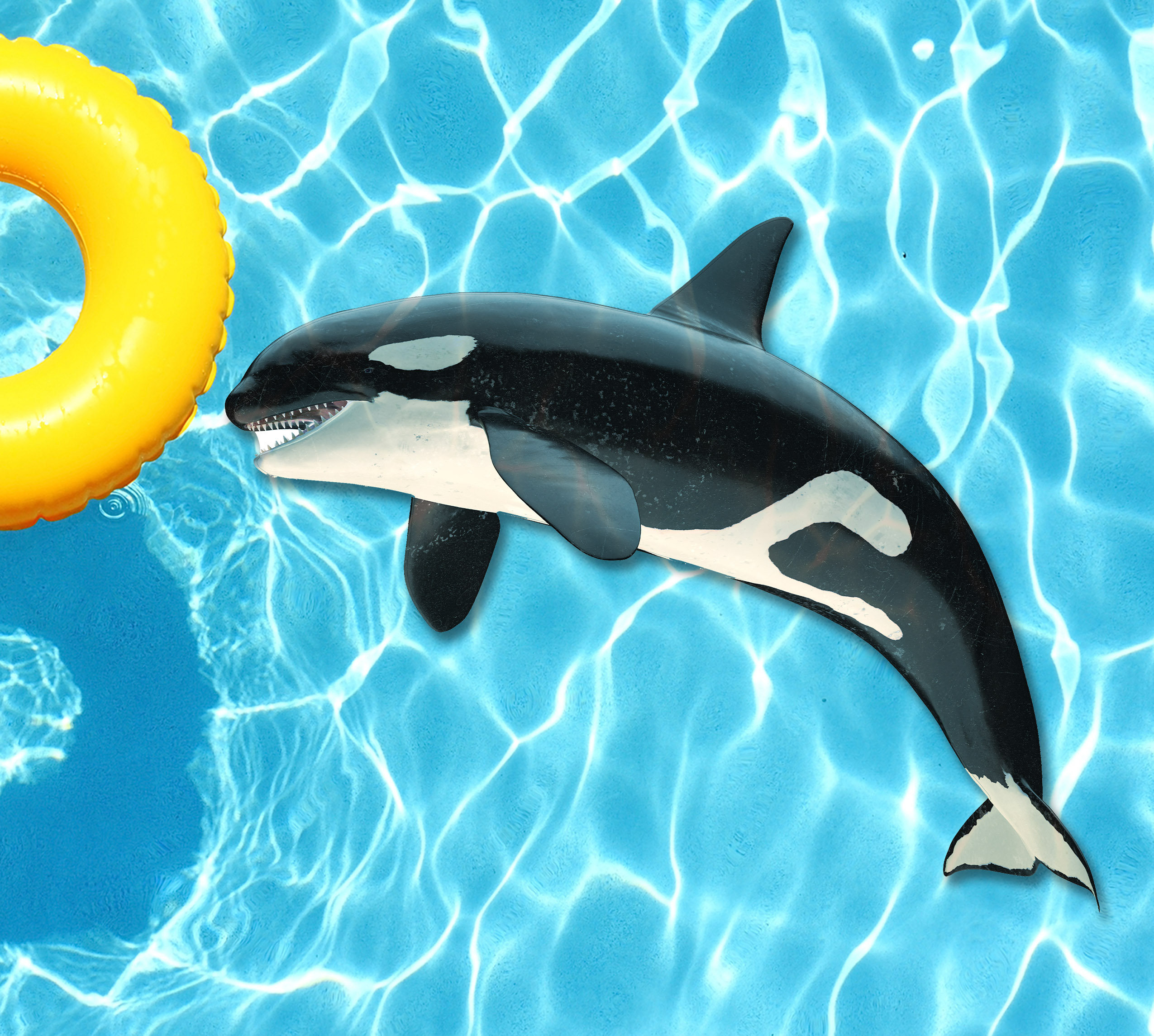 Trinx Killer Whale Underwater Pool Mat Tattoo - Wayfair Canada