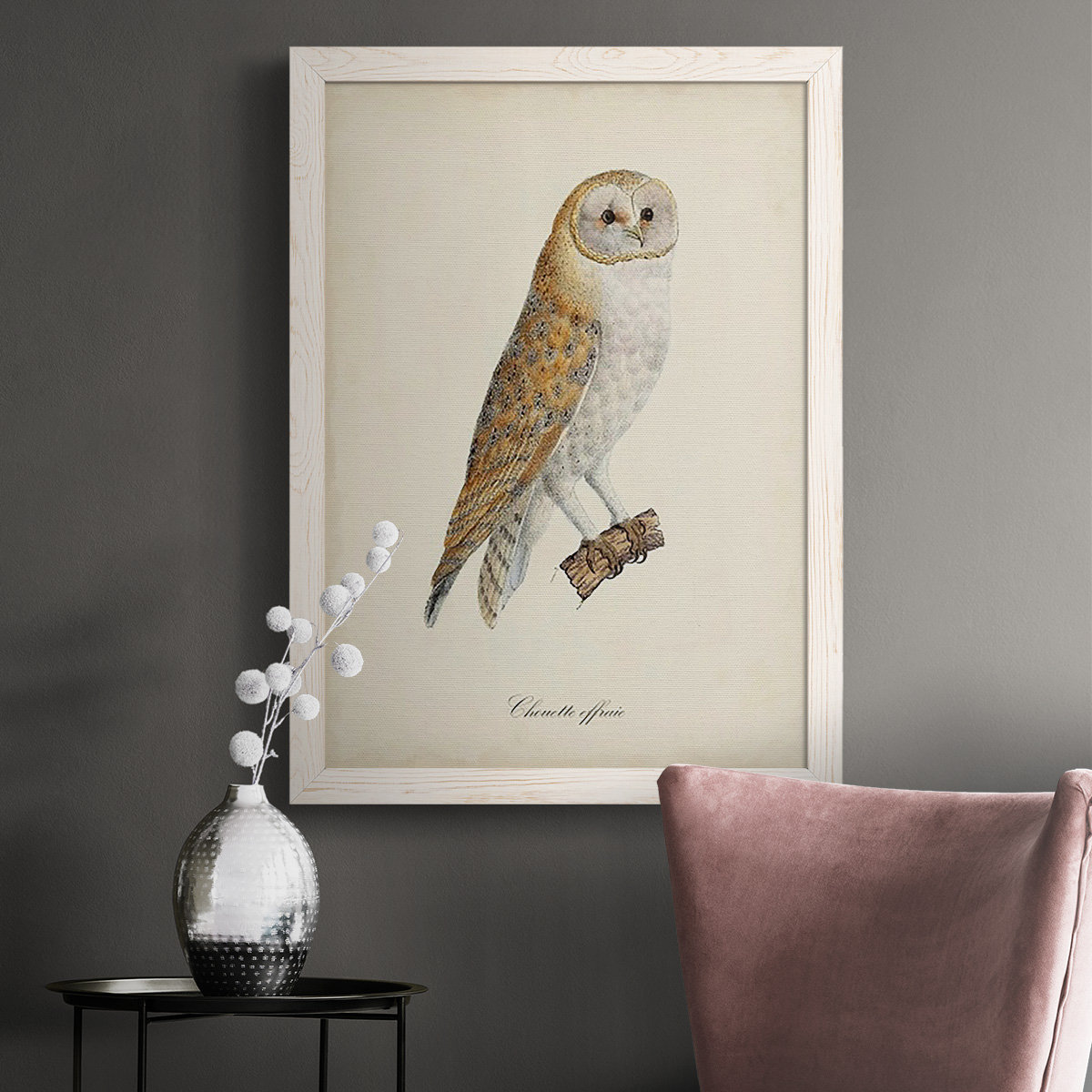 Millwood Pines Madelia French Owls VI - Single Picture Frame Print on ...