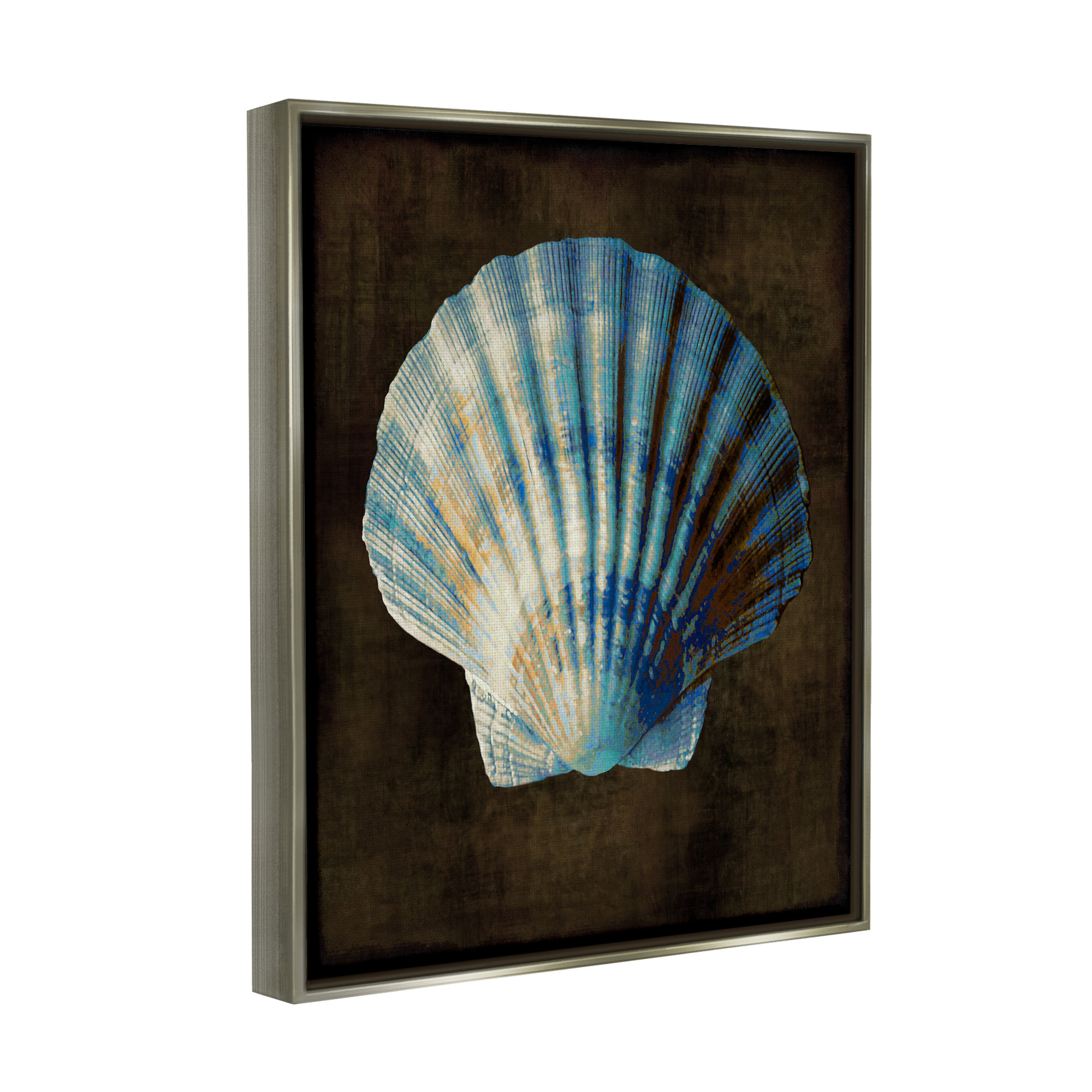 Dovecove Rustic Clam Shell Framed Floater Canvas Wall Art Design By ...
