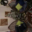 Trent Austin Design® Zenaide Round Mango Wood Coffee Table & Reviews ...